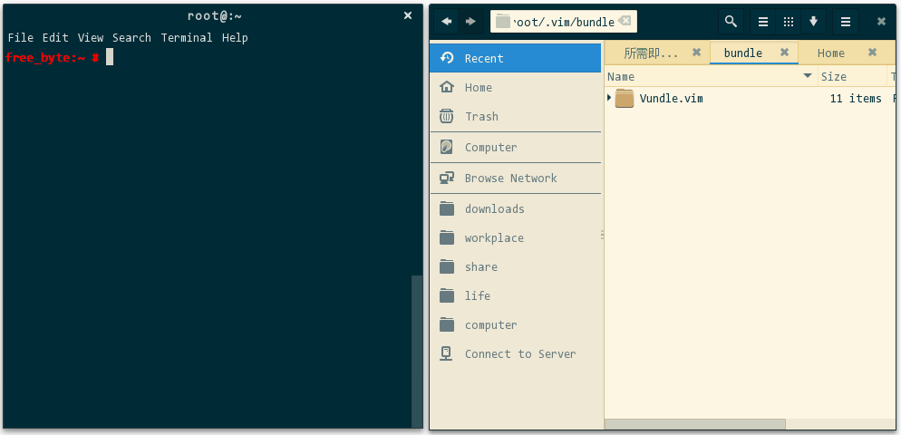 2 插件管理 | 像 IDE 一样使用 vim